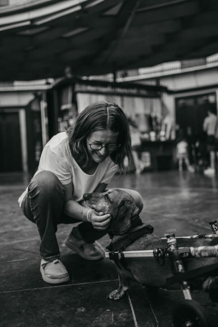 Große Liebe Dackelglück - Susana & Hugo - SIDI & THE GANG - Die ...